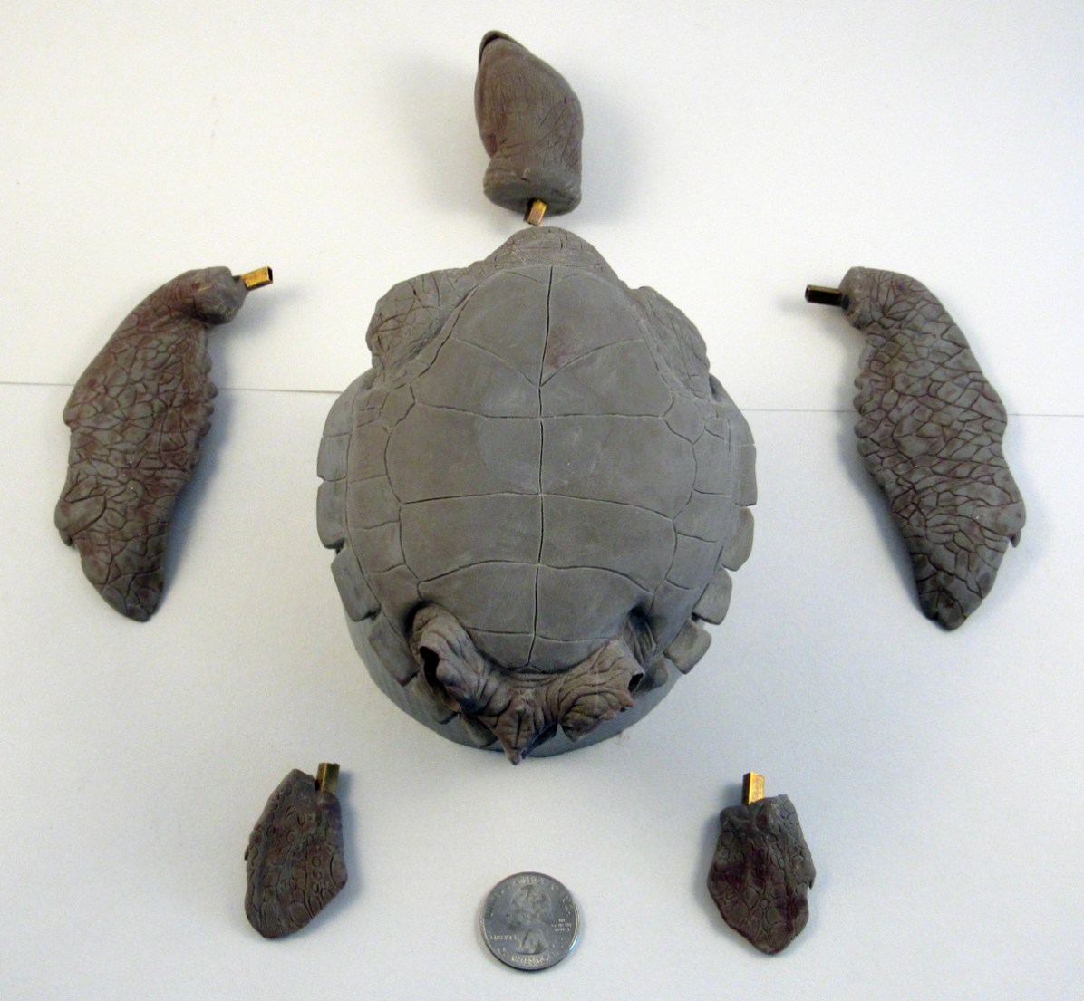 Turtle Sculpture Assembly – Josh Hagen
